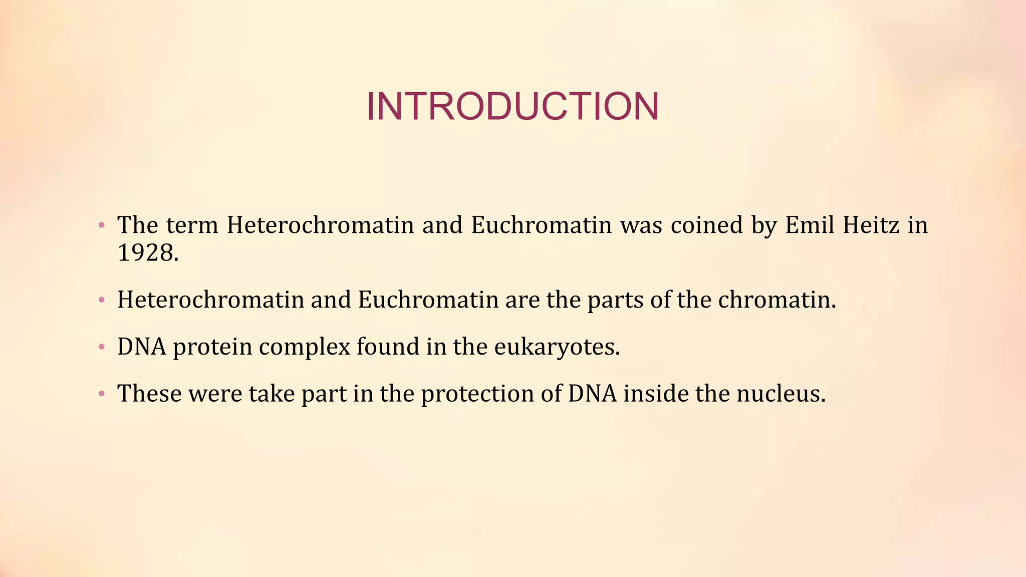 Heterochromatin and euchromatin mains | PPTX