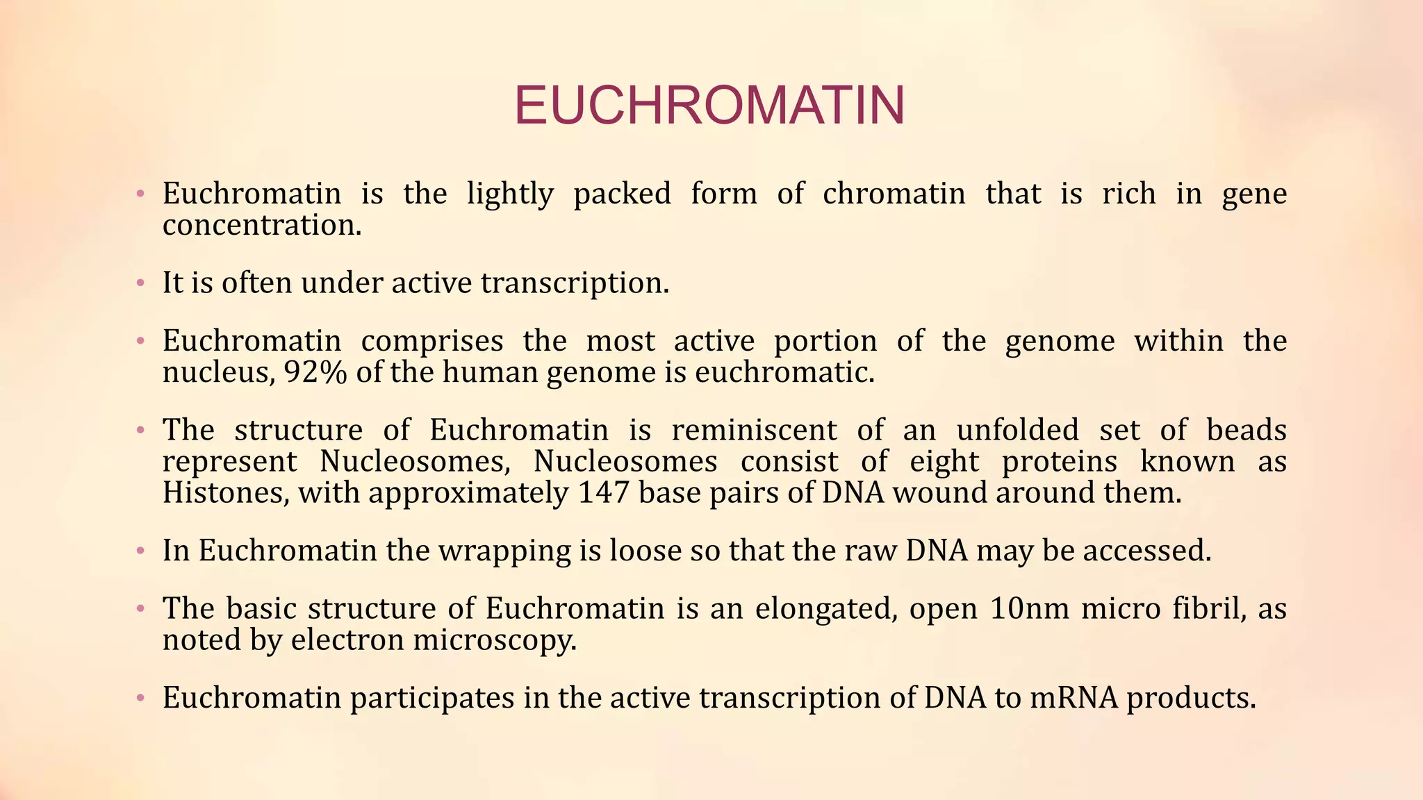 Heterochromatin and euchromatin mains | PPTX