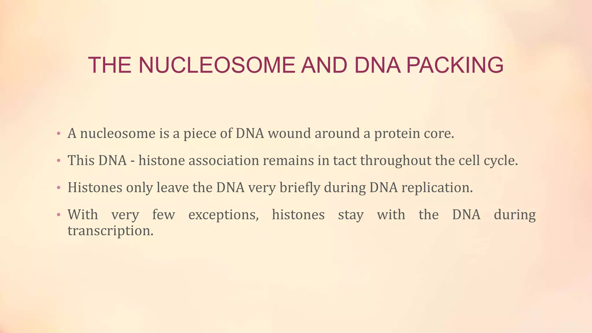 Heterochromatin and euchromatin mains | PPTX