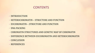 Heterochromatin and euchromatin mains | PPTX