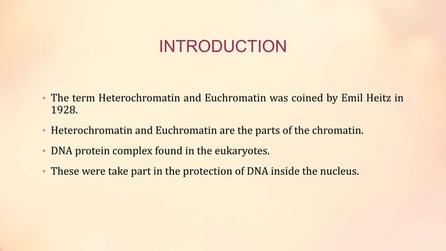 Heterochromatin and euchromatin mains | PPTX | Genetics | Science