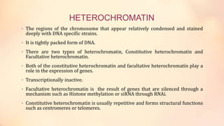 Heterochromatin and euchromatin mains | PPTX