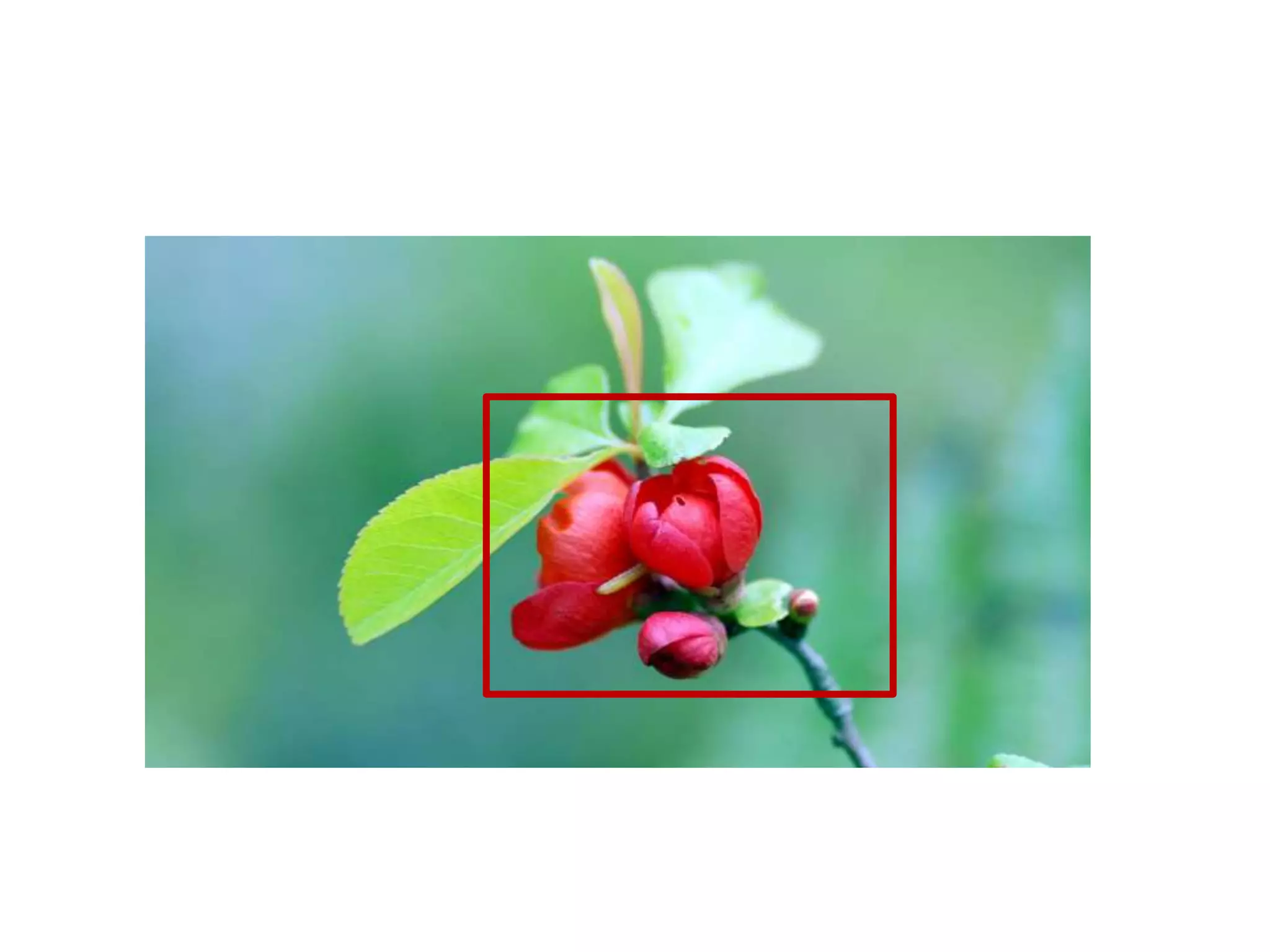 2 d viewing computer graphics | PPTX