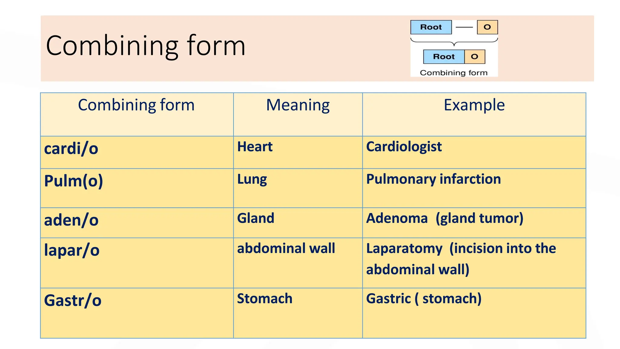 Medical terminology word parts and building terms.pptx