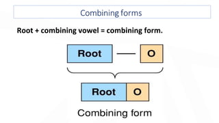 Medical terminology word parts and building terms.pptx