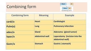 Medical terminology word parts and building terms.pptx