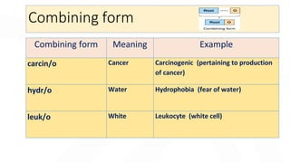 Medical terminology word parts and building terms.pptx