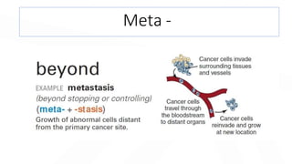 Medical terminology word parts and building terms.pptx