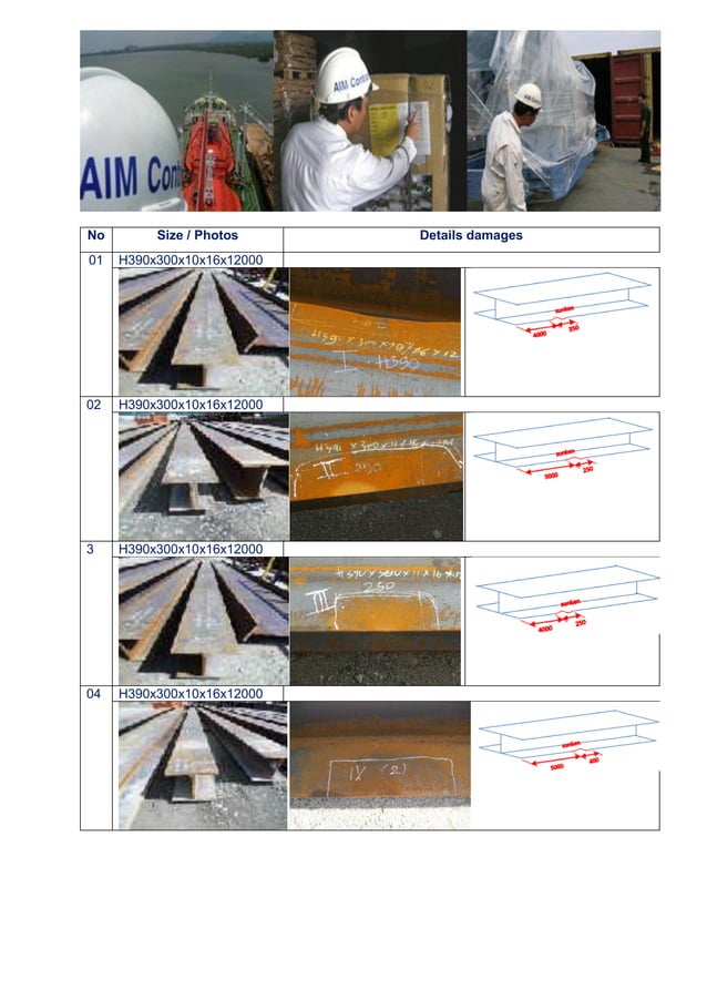 DAMAGE SURVEY EXPERTS | PDF