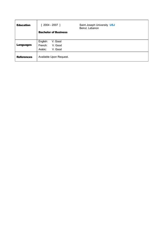 AHMAD CHOUBASSI CV | DOC | Business | Business and Finance