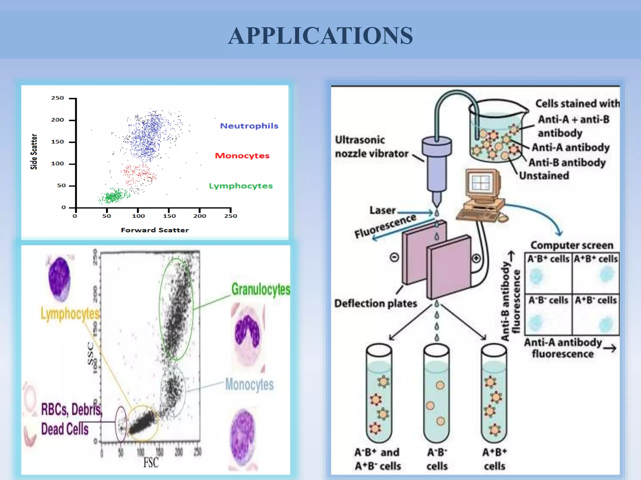Principles, Practical Aspects and Applications of Primary Ag-Ab ...