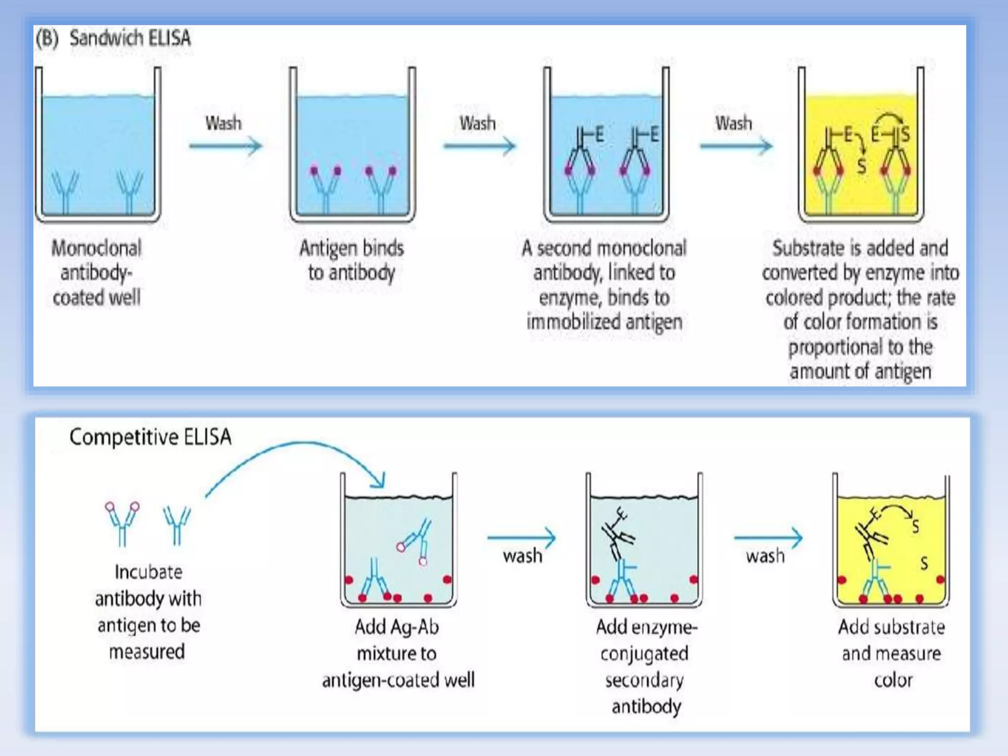 Principles, Practical Aspects and Applications of Primary Ag-Ab Interaction-Equilibrium Dialysis ...