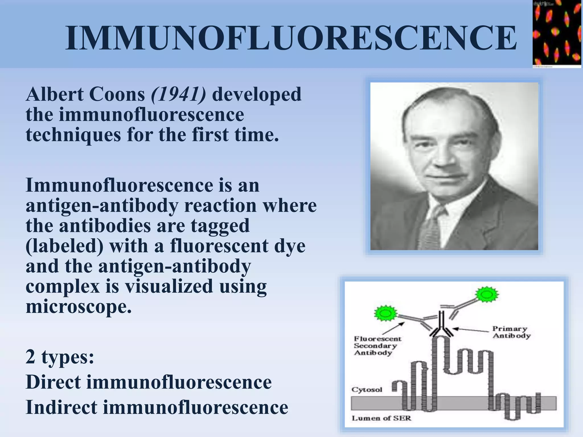 Principles, Practical Aspects and Applications of Primary Ag-Ab ...