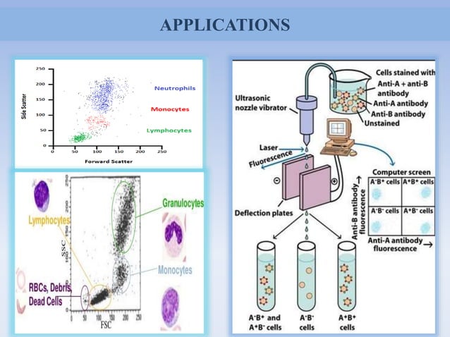 Principles, Practical Aspects and Applications of Primary Ag-Ab ...