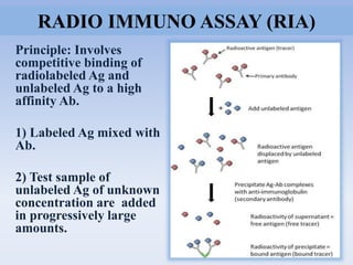Principles, Practical Aspects and Applications of Primary Ag-Ab ...