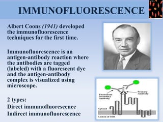 Principles, Practical Aspects and Applications of Primary Ag-Ab ...