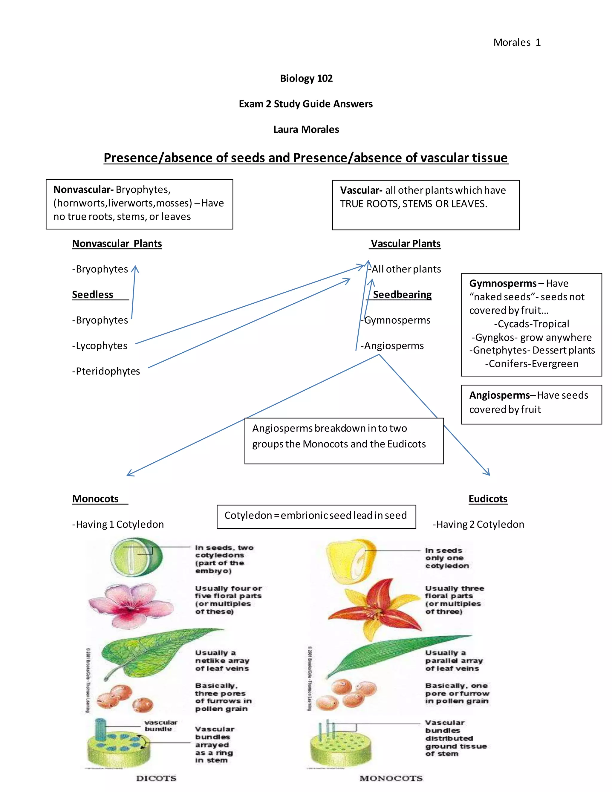 Biology 102 exam 2 (1) | PDF