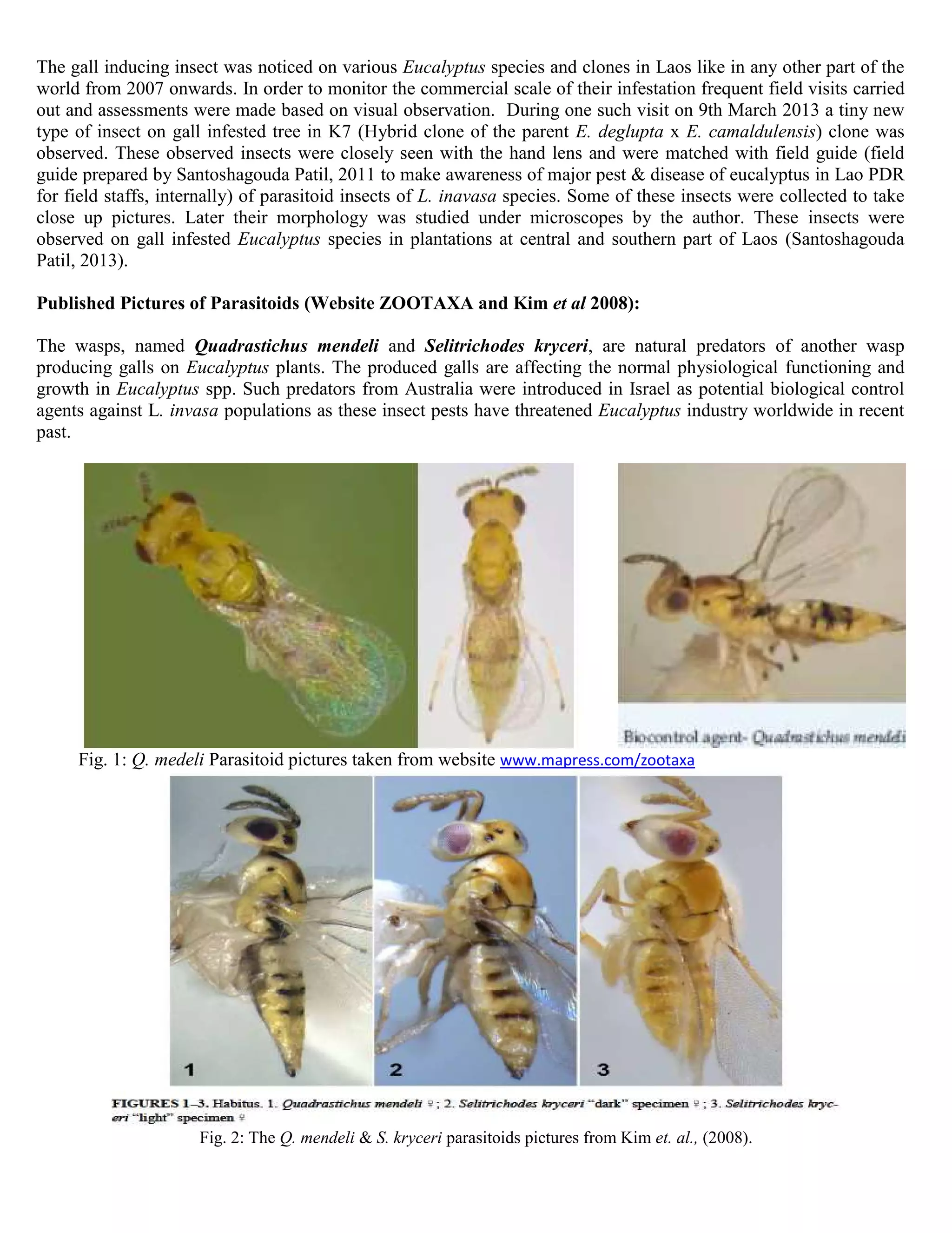 The New report of L invasa parasitoids | PDF