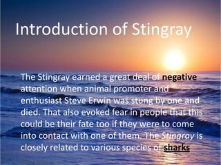 2 e2 stingray project 2013 (final) | PPT
