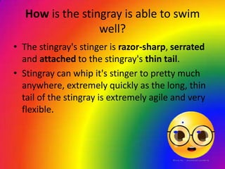 2 e2 stingray project 2013 (final) | PPT