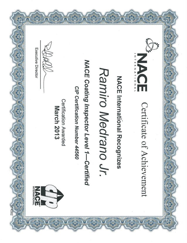 Nace 1 Certification | PDF