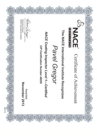 Nace certificate - Level 1 | PDF
