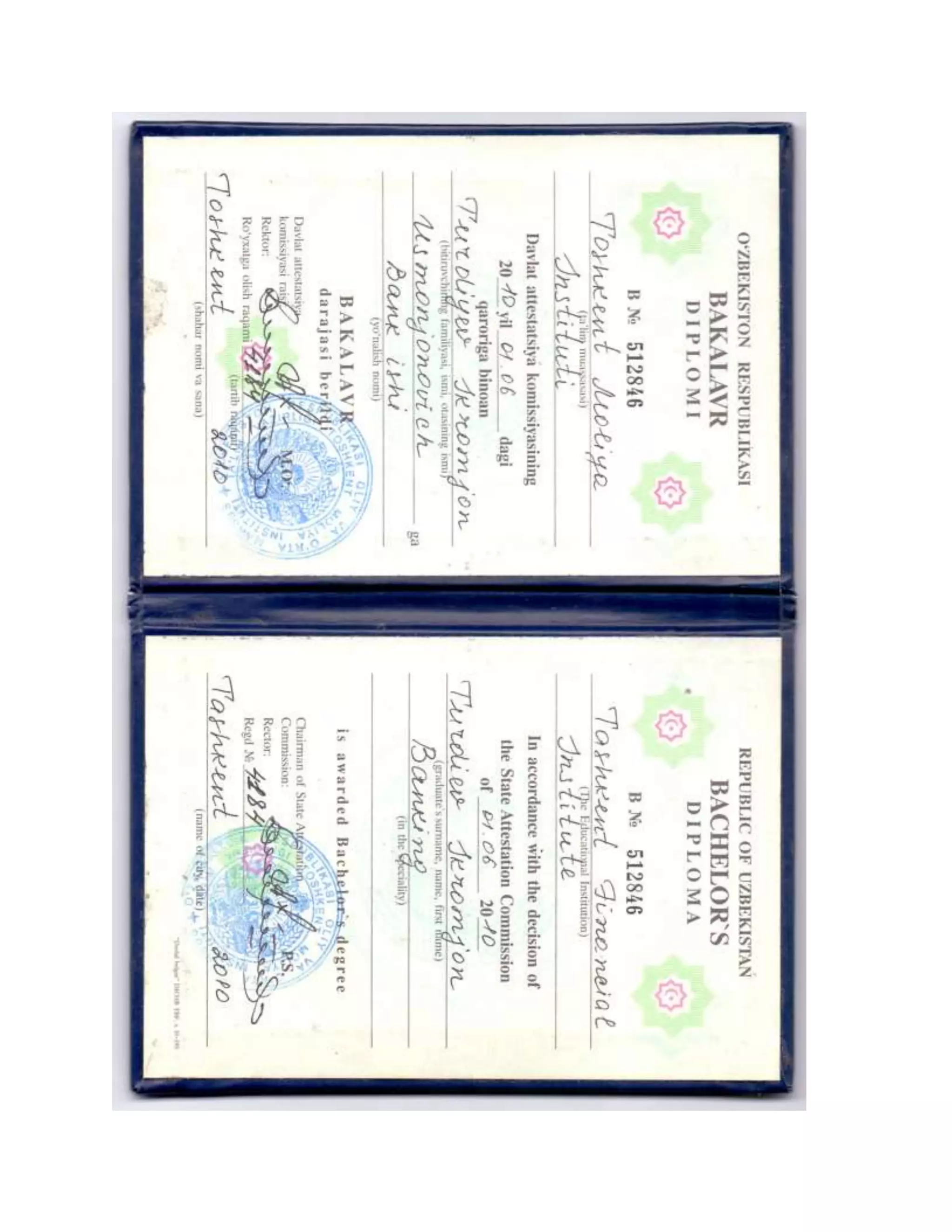 diplom word 2 | DOCX