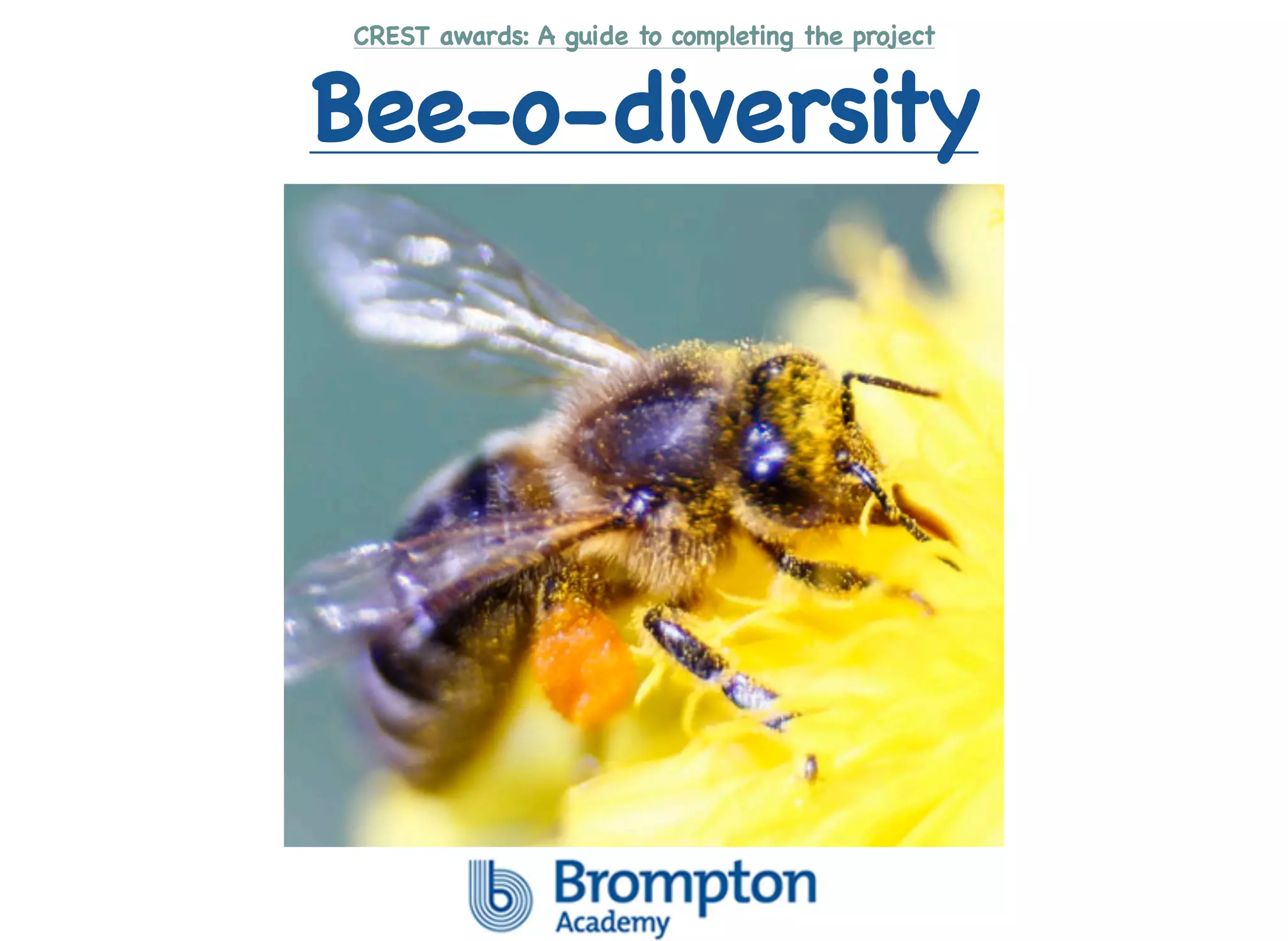 Crest awards project_Bee-o-diversity | PDF