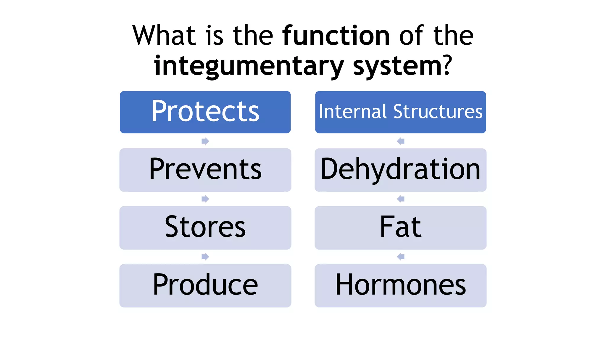 Integumentary system | PPTX