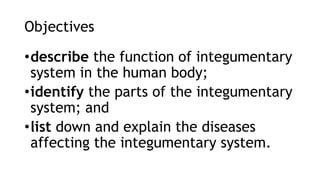 Integumentary system | PPT