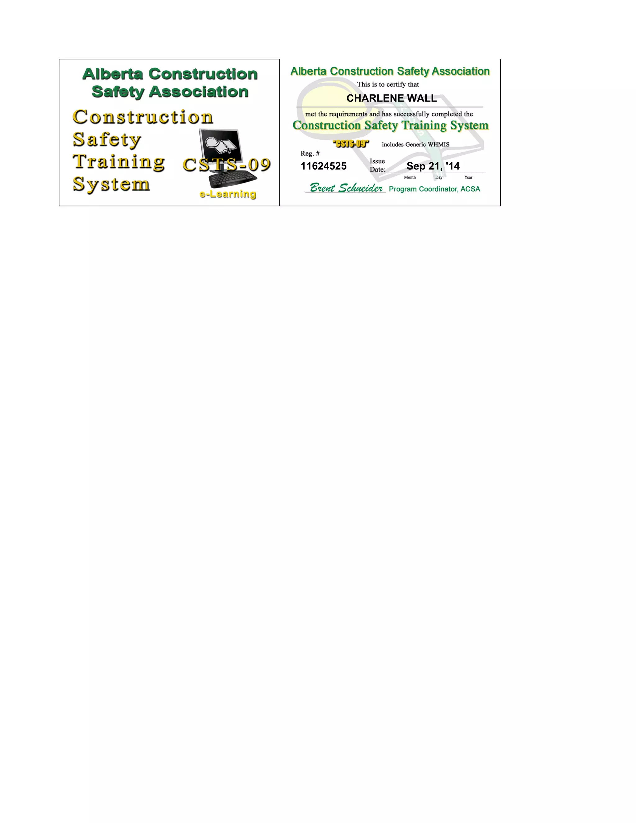 CSTS CERTIFICATE | PDF