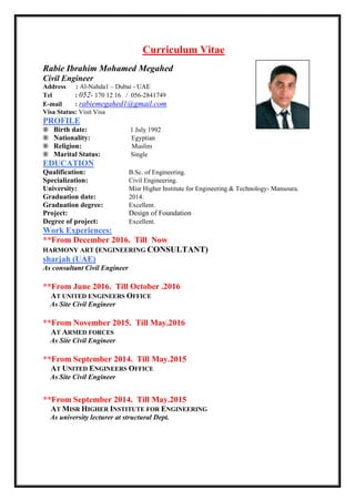 Eng. Rabie Megahed cv | PDF