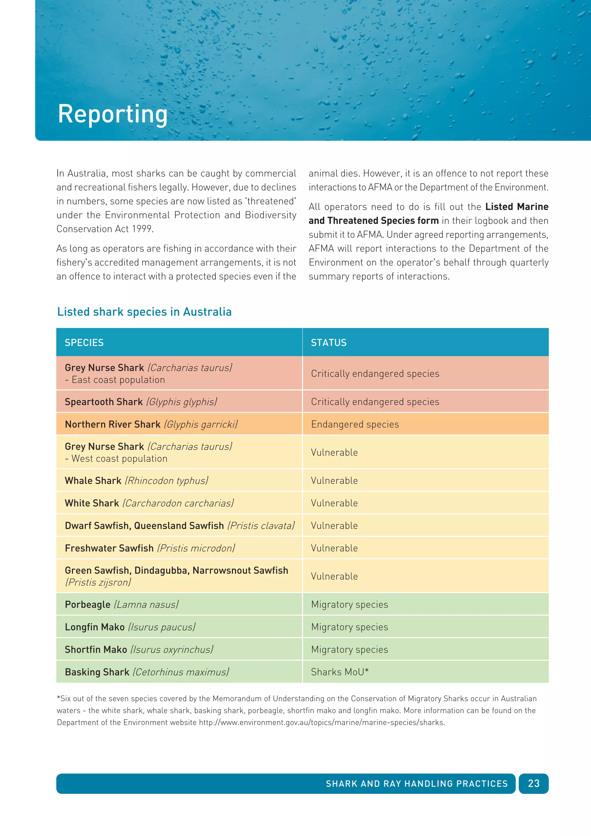 Shark-and-Ray-Handling-Guide-WEB-VERSION | PDF