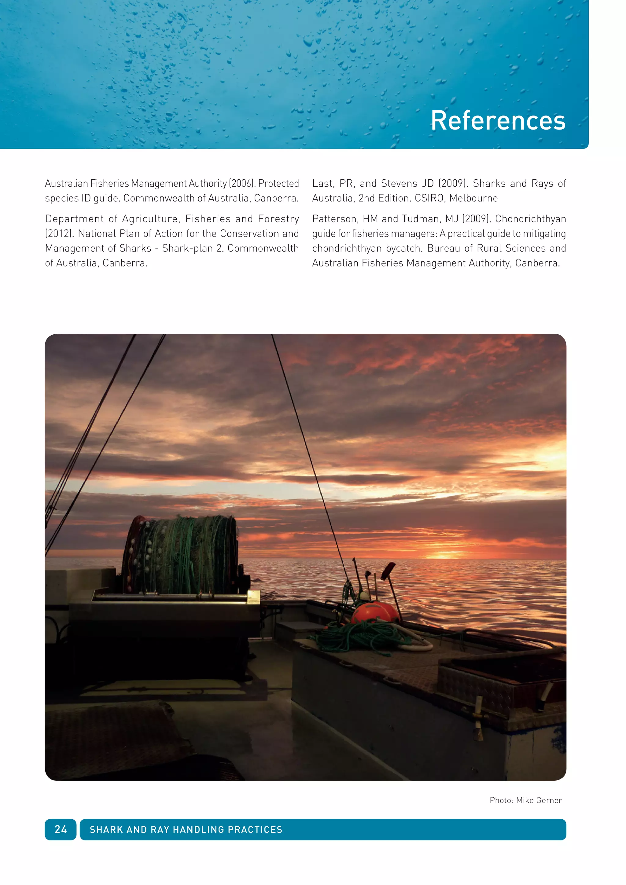 Shark-and-Ray-Handling-Guide-WEB-VERSION | PDF