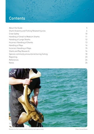 Shark-and-Ray-Handling-Guide-WEB-VERSION | PDF | Fish and Aquariums | Pets