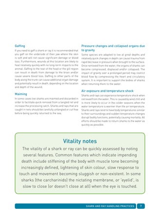 Shark-and-Ray-Handling-Guide-WEB-VERSION | PDF | Fish and Aquariums | Pets