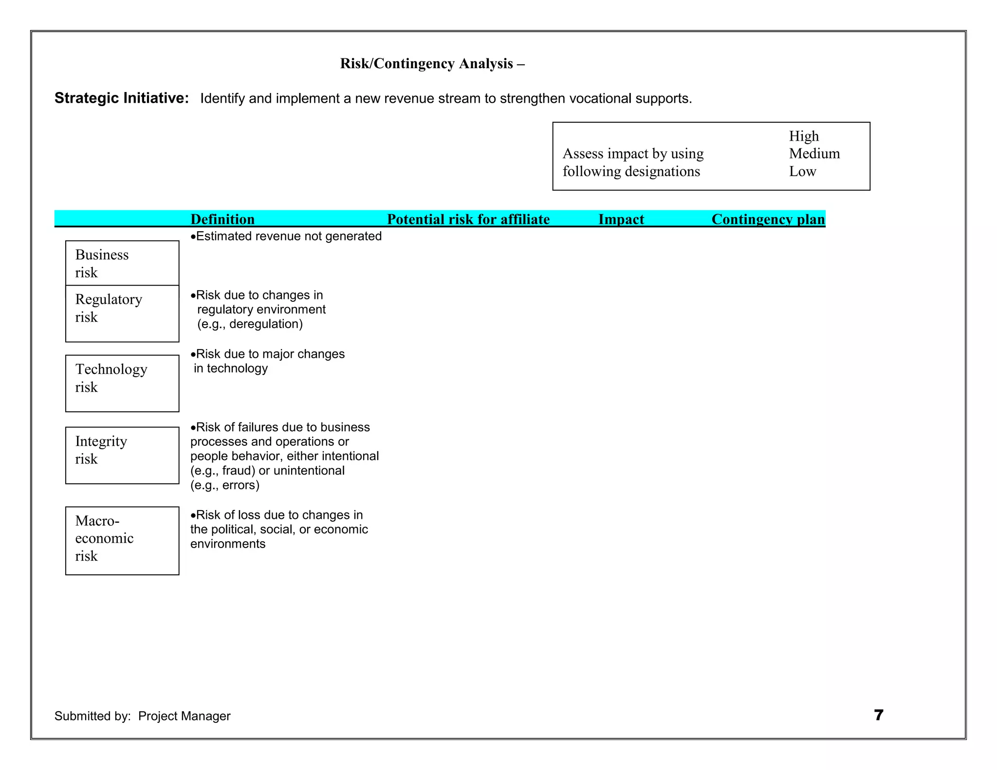 Strategic Initiative Project Plan Example | PDF