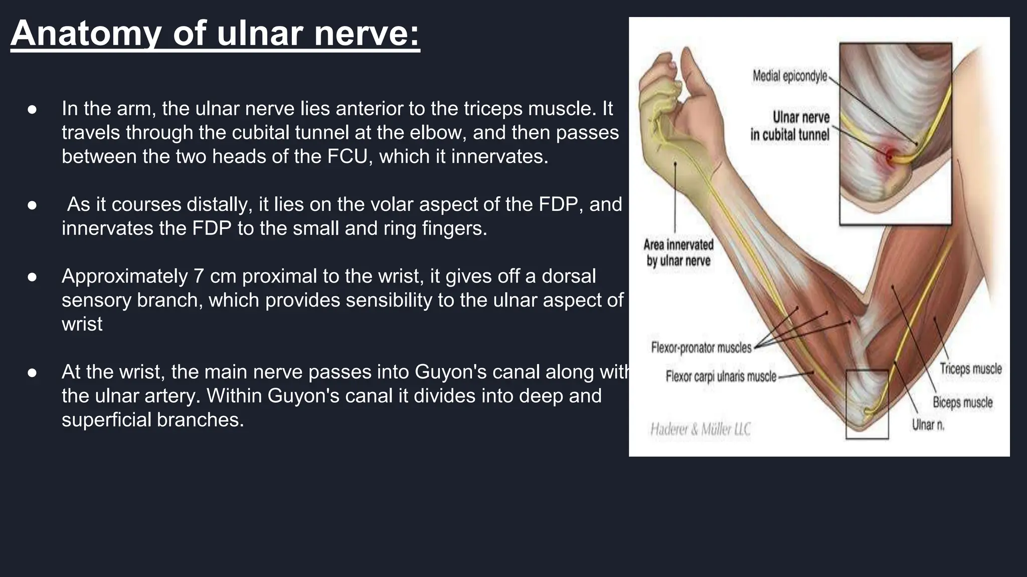 Ulnar_nerve_palsy_and_Tendon_transfer.pptx