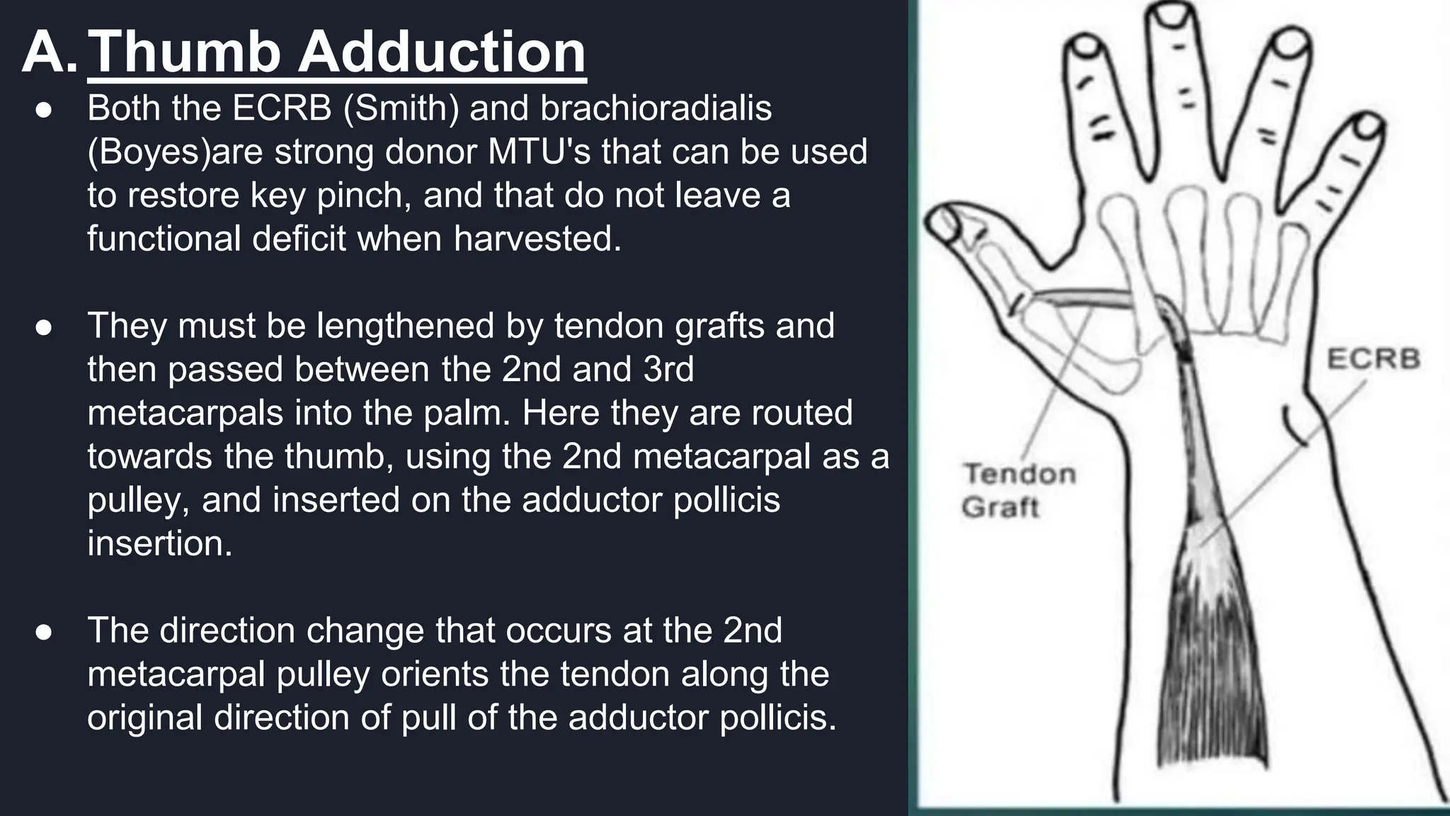 Ulnar_nerve_palsy_and_Tendon_transfer.pptx