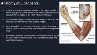 Ulnar_nerve_palsy_and_Tendon_transfer.pptx