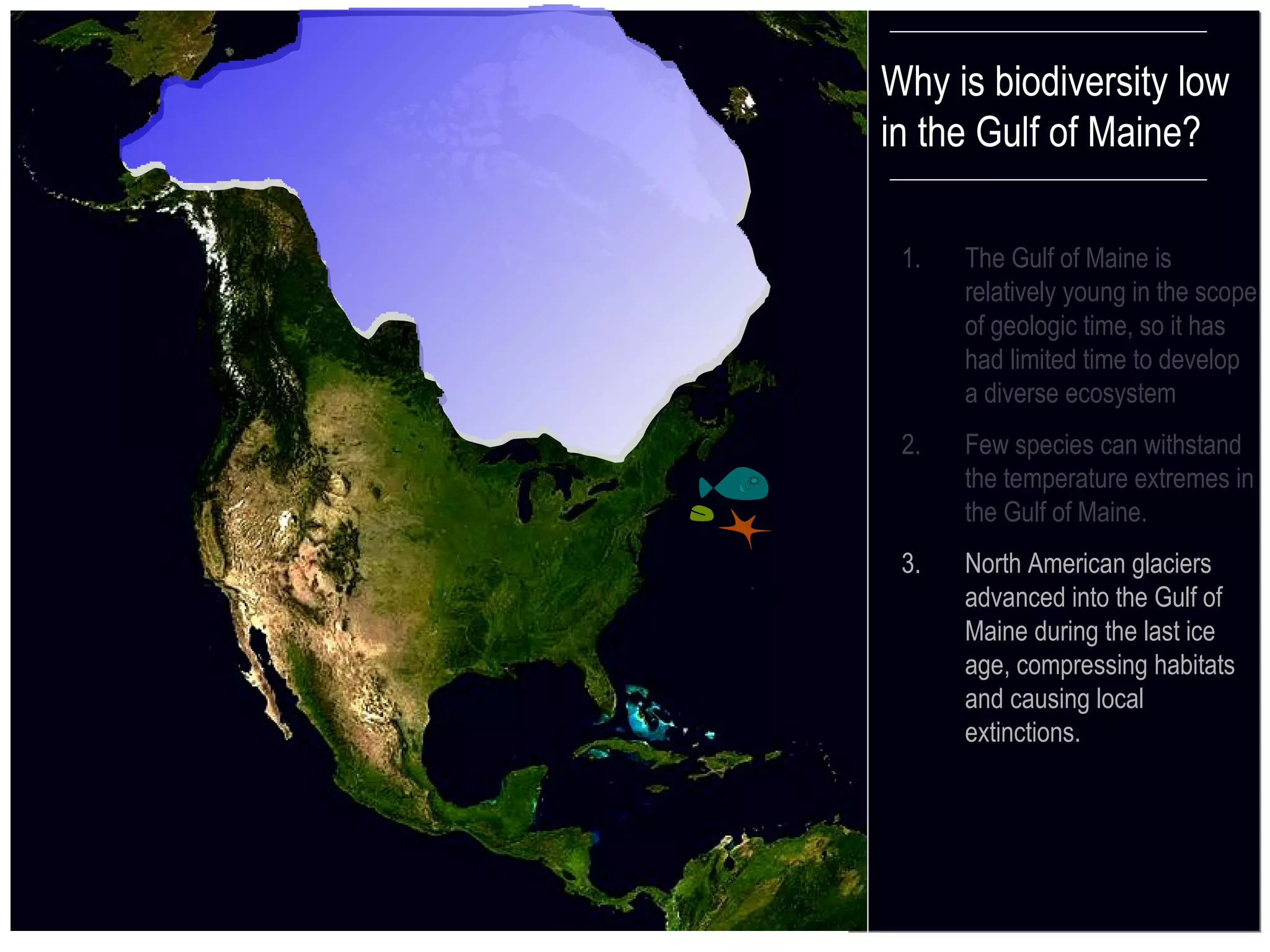 2 ecological history | PPT