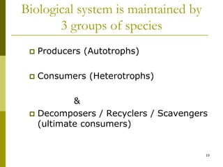 2 ecology env300 | PPT