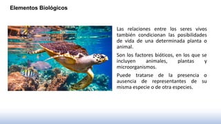 2 Ecosistema Interacción elementos biológicos factores ambientales y ...