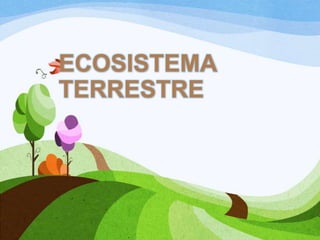 Ecosistema Terrestre Para Niños