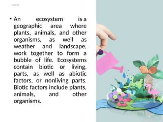 Ecosystem PPT | Detailed Notes | Impacts | PPTX