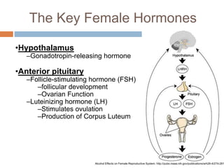 Female hormones | PPTX
