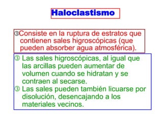 DAFOGÉNESIS O EDAFIZACIÓN DEL SUELO- EL PERFIL DEL SUELO-PROPIEDADES ...