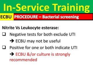 Urine Analysis | PPTX