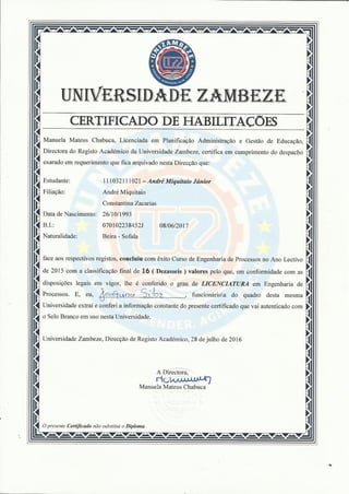 Process Engeneering Certificate | PDF