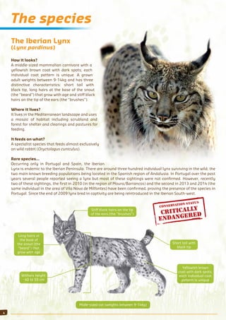 Layman's Report - LIFE Habitat Lince Abutre | PDF